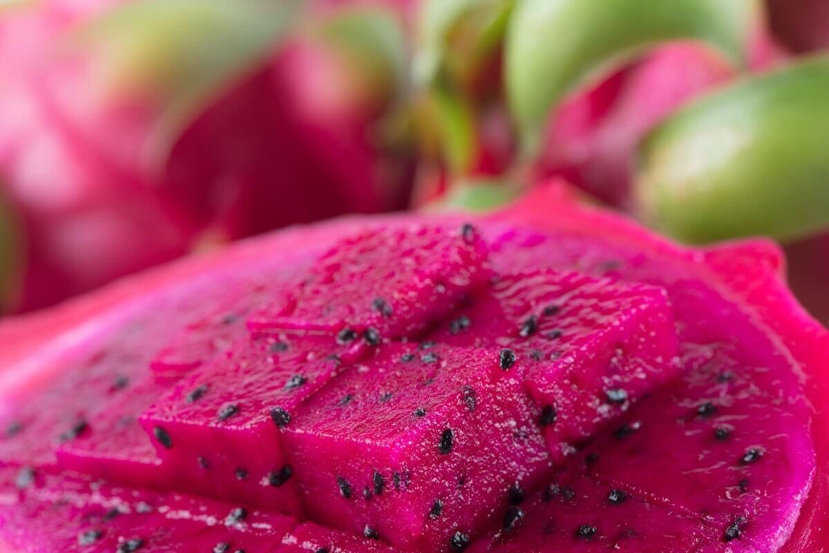 Drachenfrucht: Entdecke diese exotische, pinke Frucht