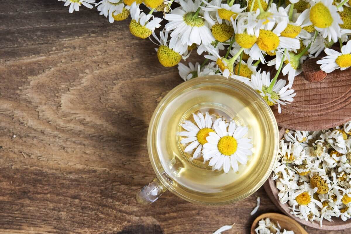 Eigenschaften und Vorteile von Kamillentee - Besser Gesund Leben