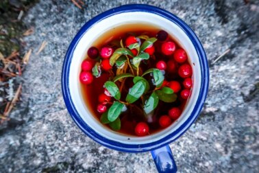 5 Vorteile von Cranberry-Tee - Besser Gesund Leben